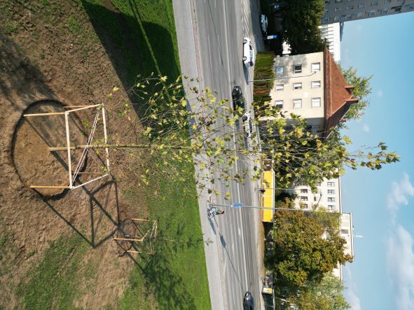 platana 4 | Tisa d.o.o.