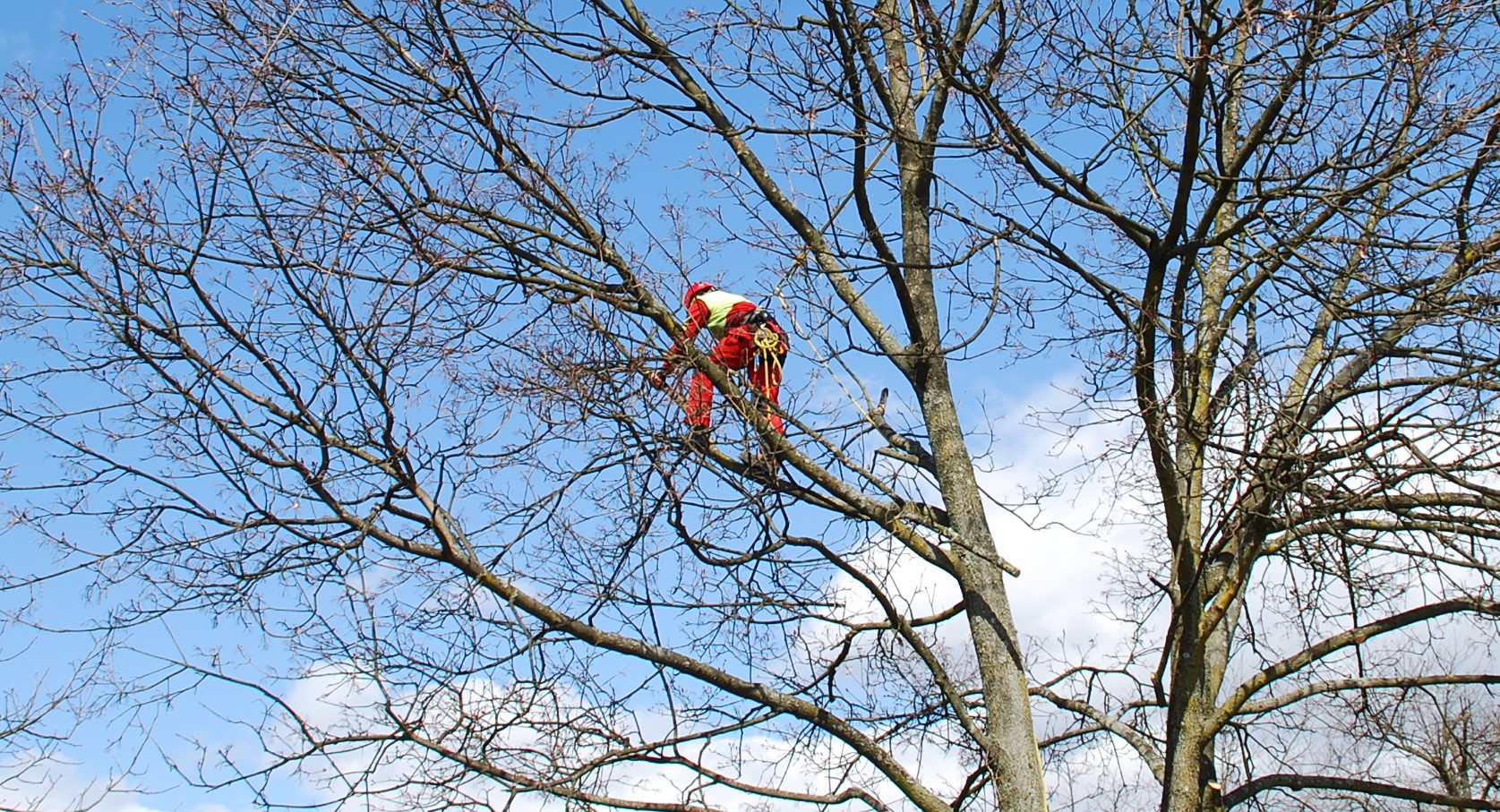 Slika 6aa | Tisa d.o.o.